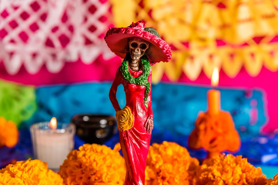 México, el país de las flores - Andaluflor